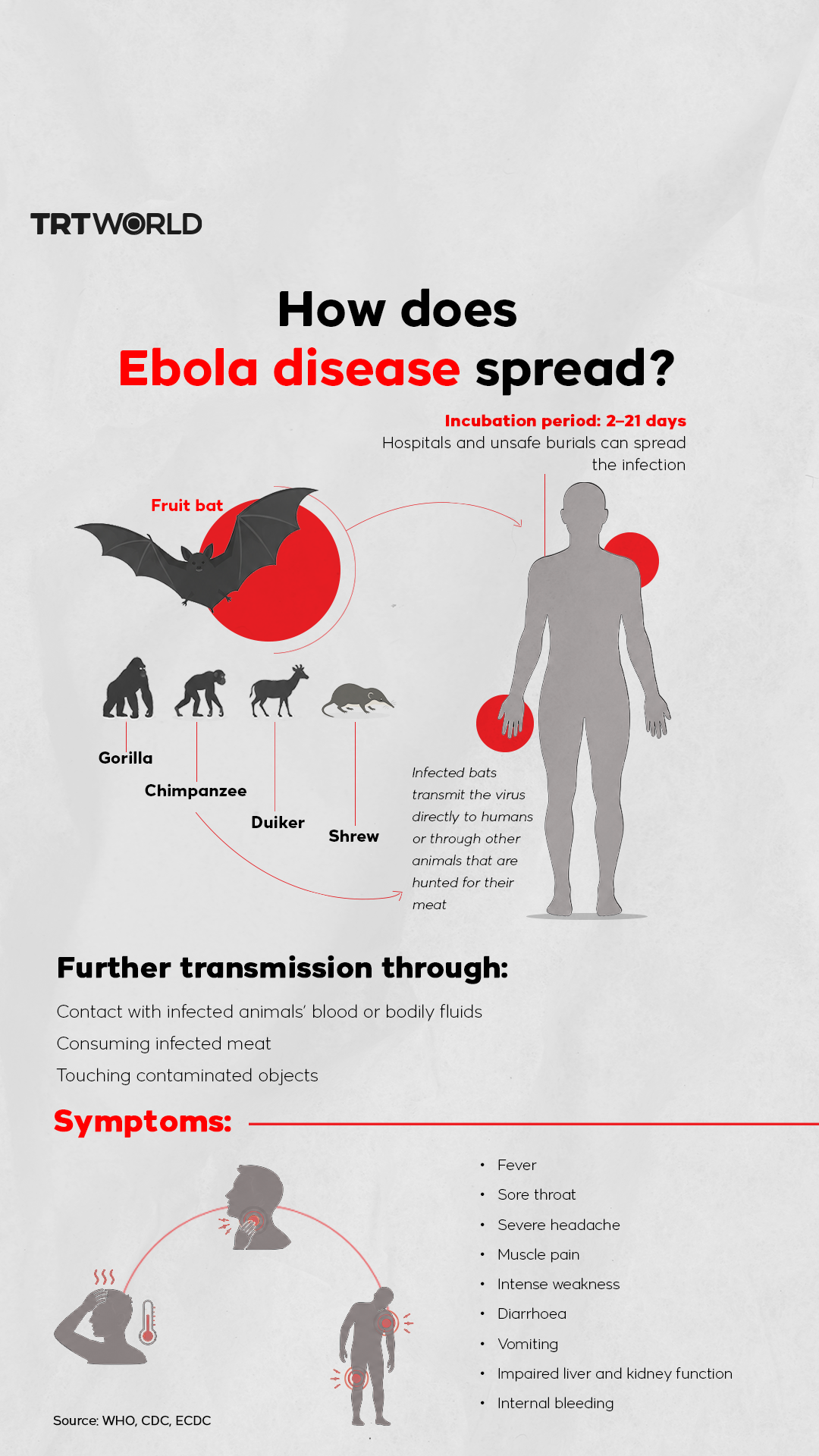 How does Ebola disease spread? - TRT World